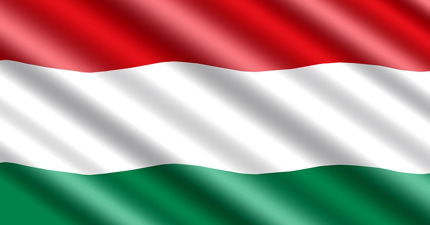 Sektoruntersuchung in Ungarn | moproweb